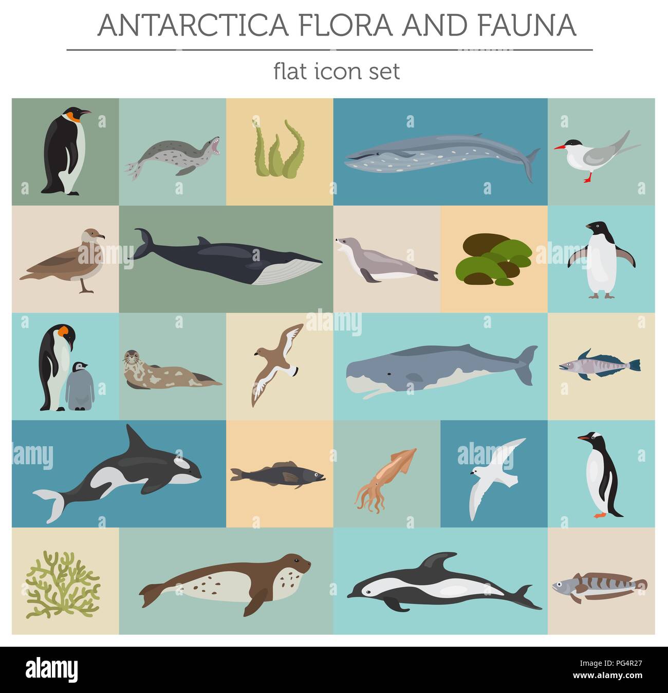 Antarctic, Antarctica flora and fauna flat elements. Animals, birds and ...