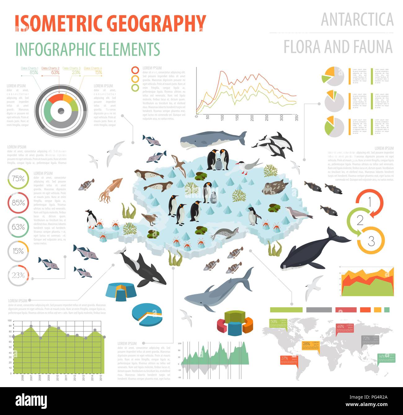 Isometric 3d Antarctica flora and fauna map elements. Animals, birds ...