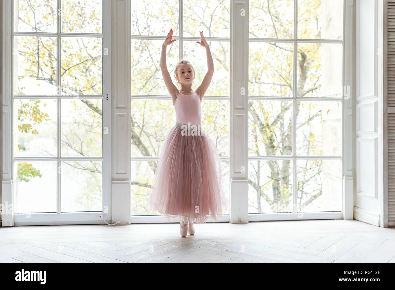 Ballerina girl in a pink ballet skirt. Beautiful graceful ballerine ...