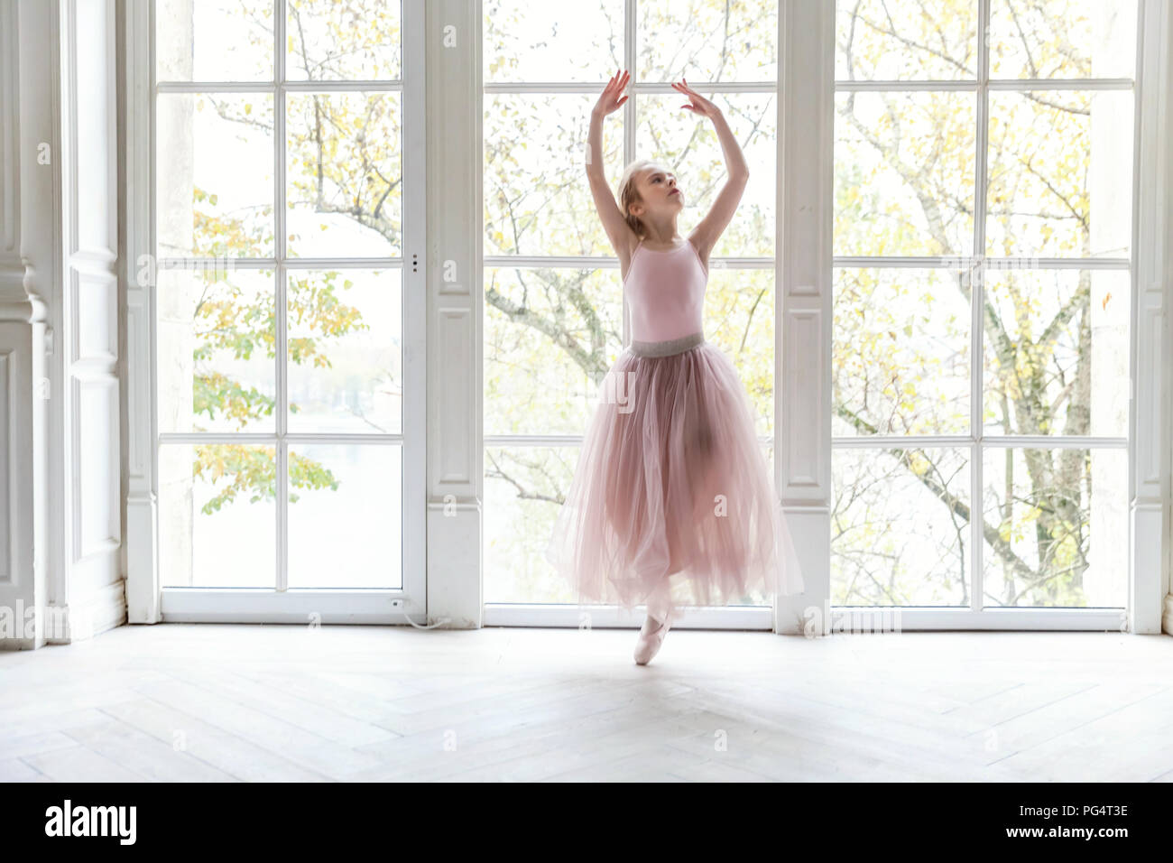 Ballerina girl in a pink ballet skirt. Beautiful graceful ballerine practice ballet positions in ...