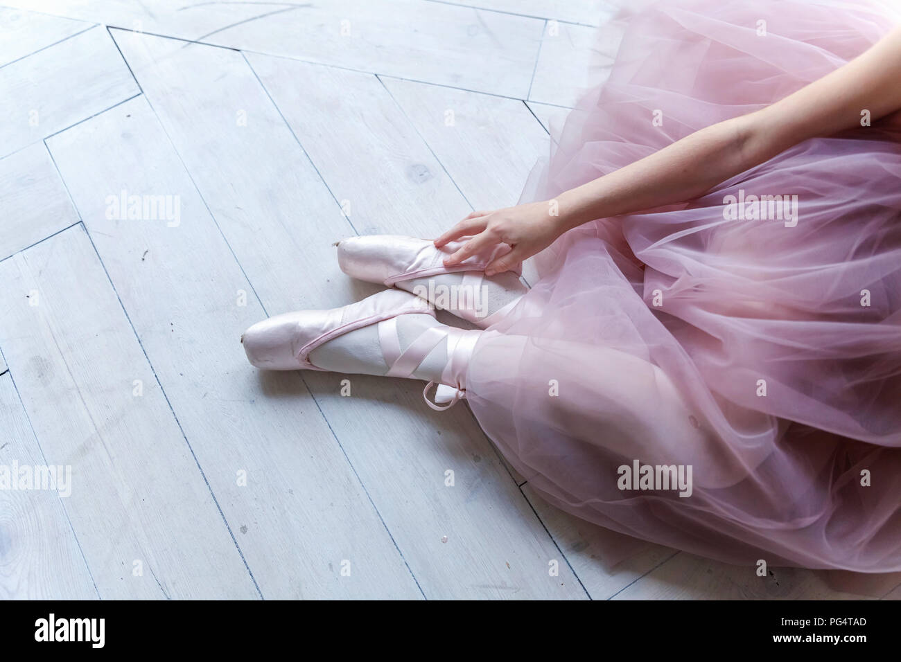 Beautiful legs of young ballerina who puts on pointe shoes at white ...