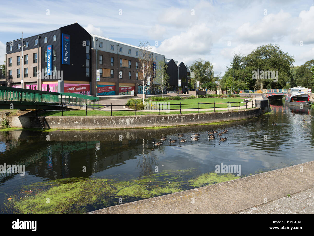 Travelodge hotel with Canada geese on Little Ouse River at Riverside ...
