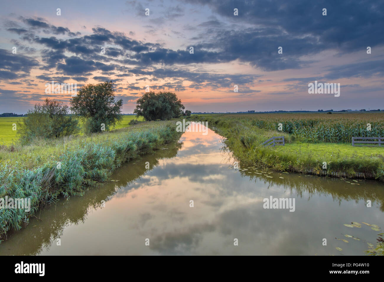 Canal overview in typical dutch agricultural landscape under colorful ...
