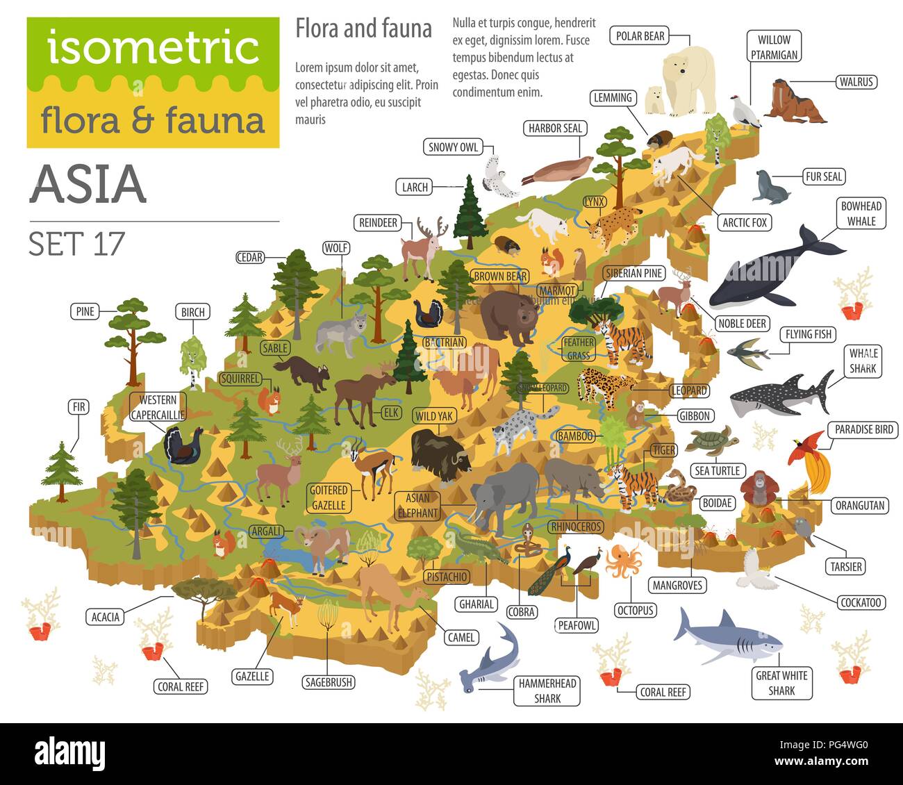 Isometric 3d Asian flora and fauna map constructor elements. Animals ...
