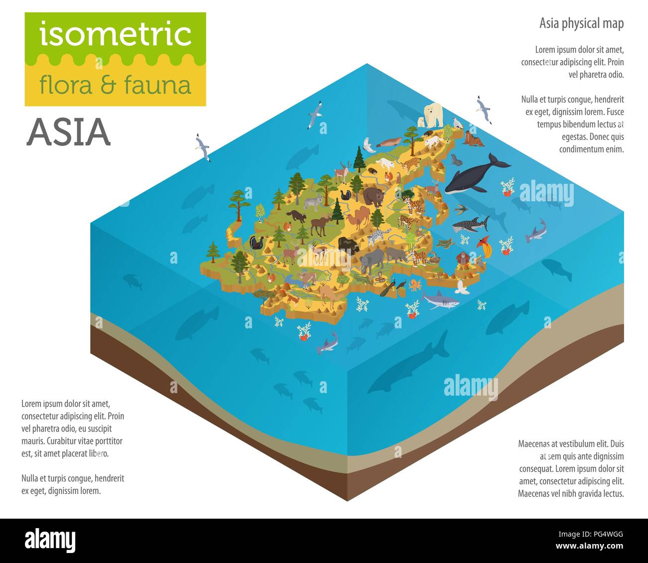 Isometric 3d Asian flora and fauna map constructor elements. Animals ...