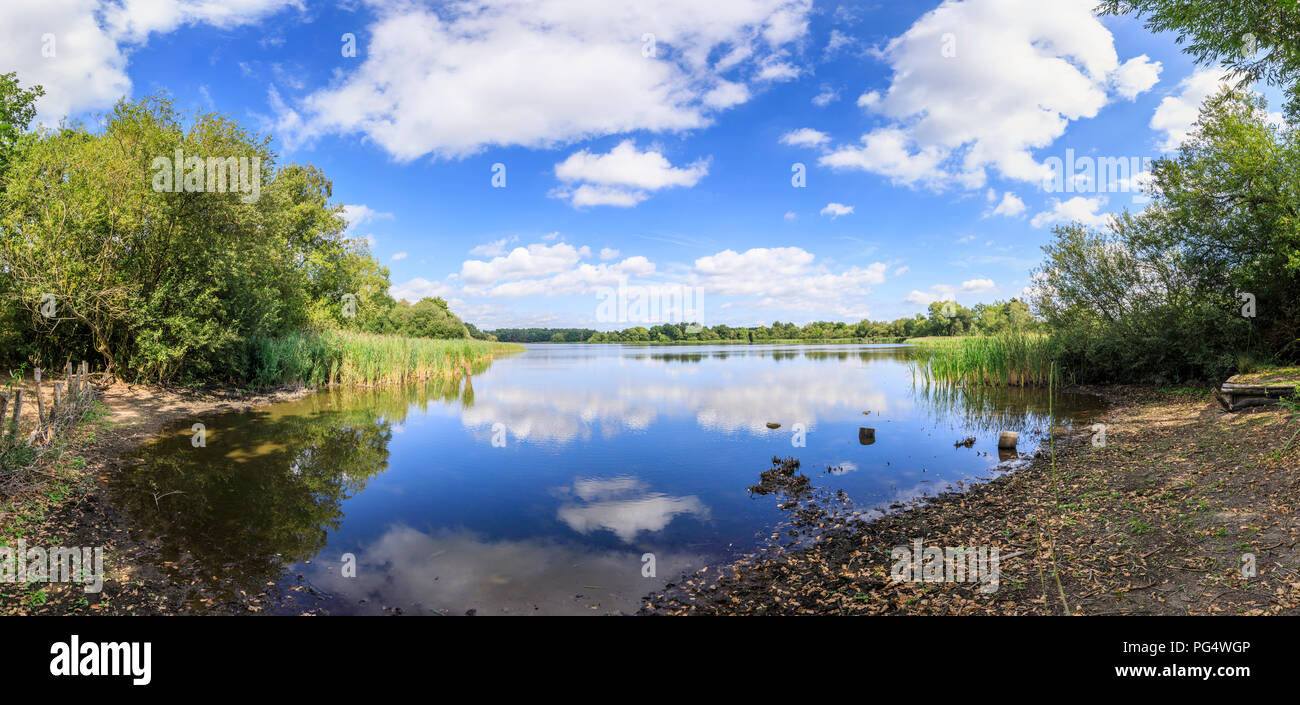 Frensham common summer hi-res stock photography and images - Alamy