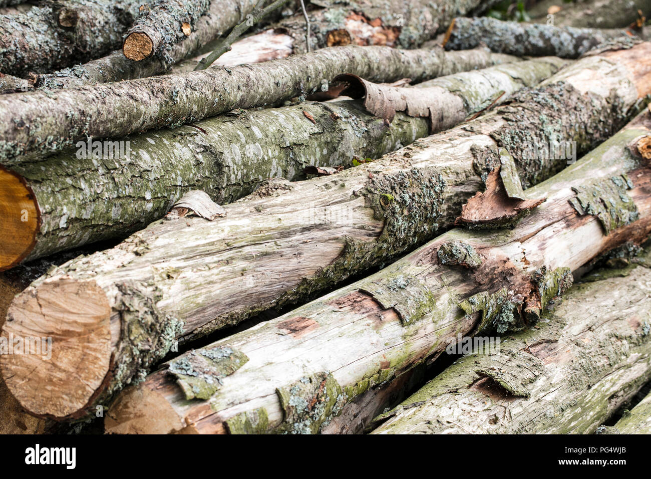 large pieces of wood, firewood for the winter Stock Photo - Alamy