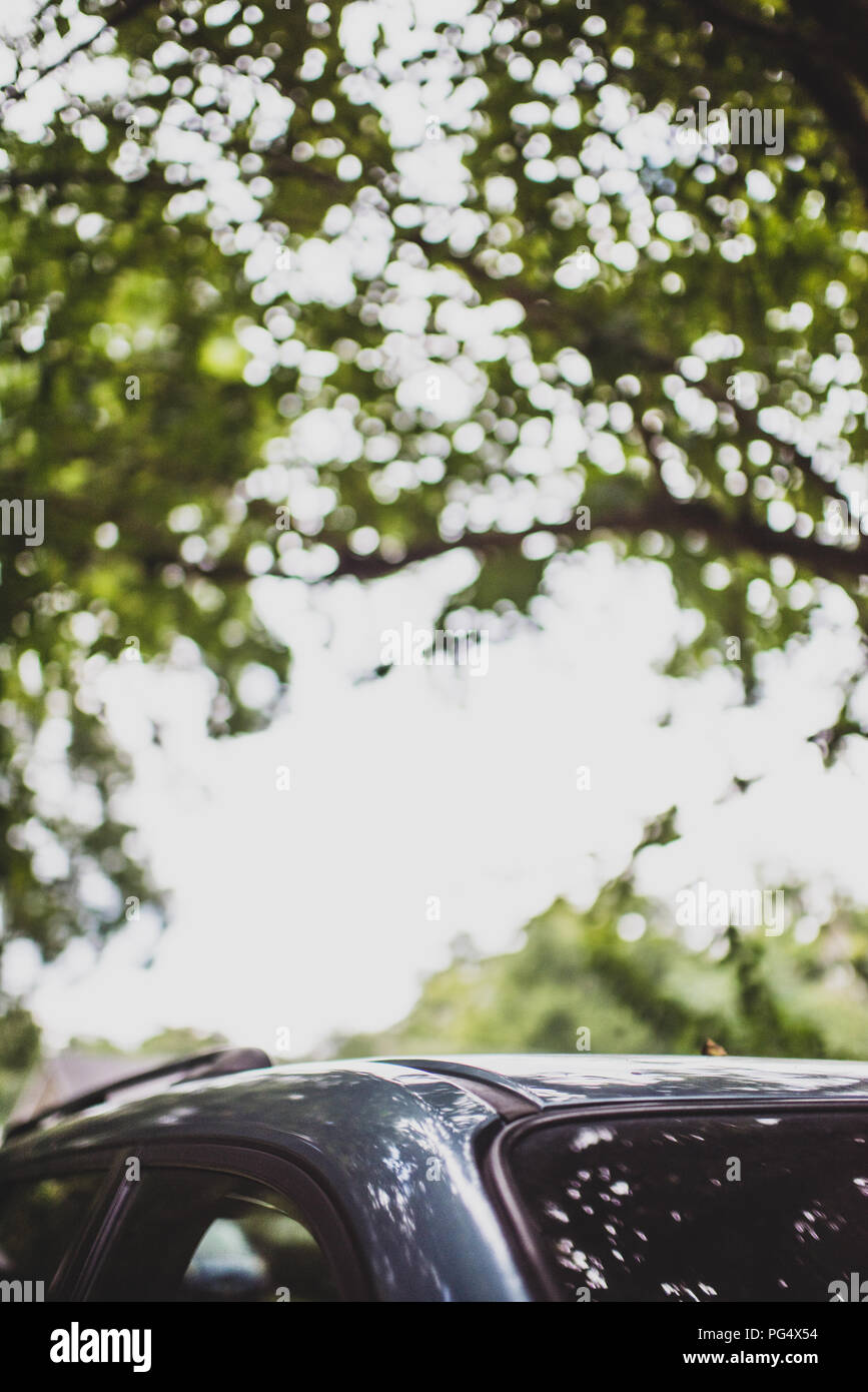 Top of a car with mostly sky and trees showing, lots of bokeh, blue car ...