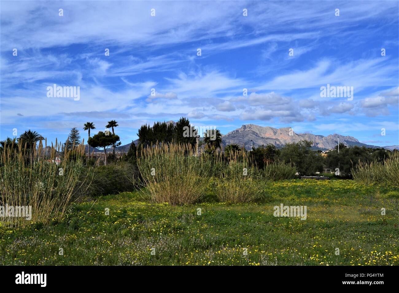 Blue sky and white cloud landscape of mountains and greenery in Spain ...