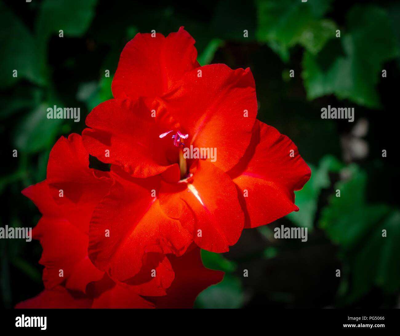 Beautiful views scenic north hi-res stock photography and images - Alamy