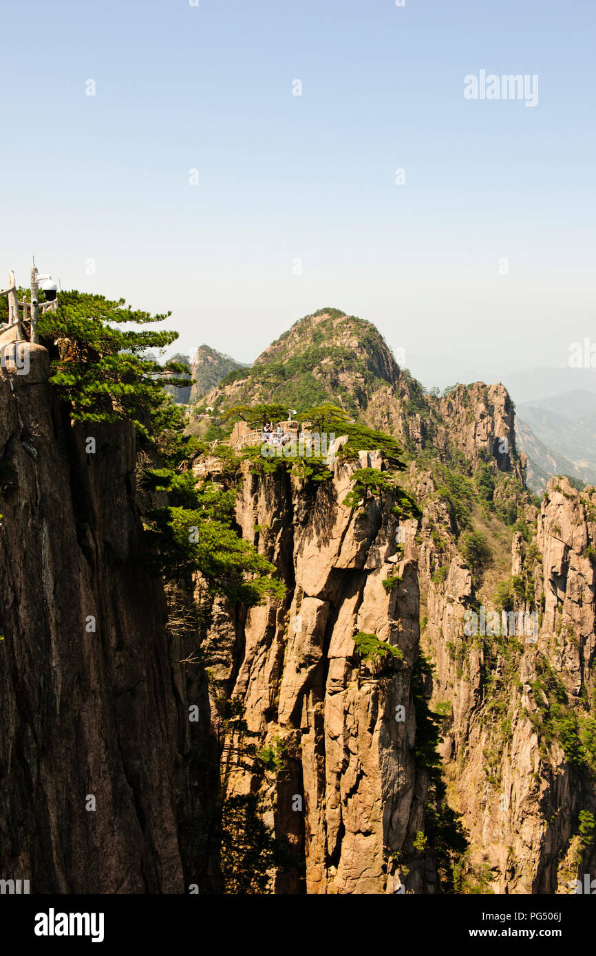 Twisted Pines,Clouds,Pinacles,Cliff Faces,RocksYellow Mountains,Huang ...