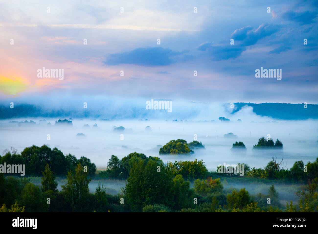 Beautiful landscape with trees in the fog in the early morning. Foggy ...