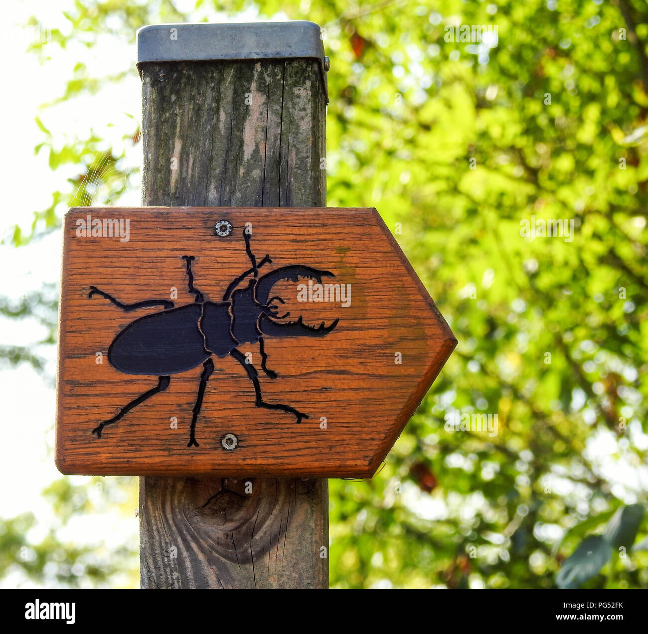 Insect direction sign Stock Photo - Alamy