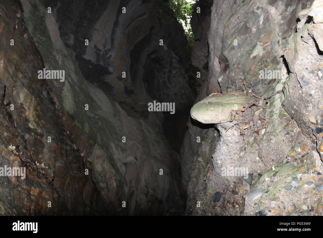 Robbers Cave Dehradun Uttarakhand India . also known as Guchu/Guchhu ...