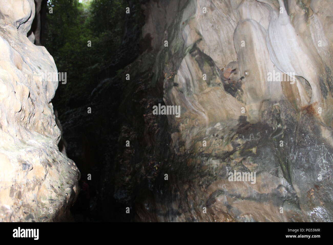 Robbers Cave Dehradun Uttarakhand India . also known as Guchu/Guchhu ...
