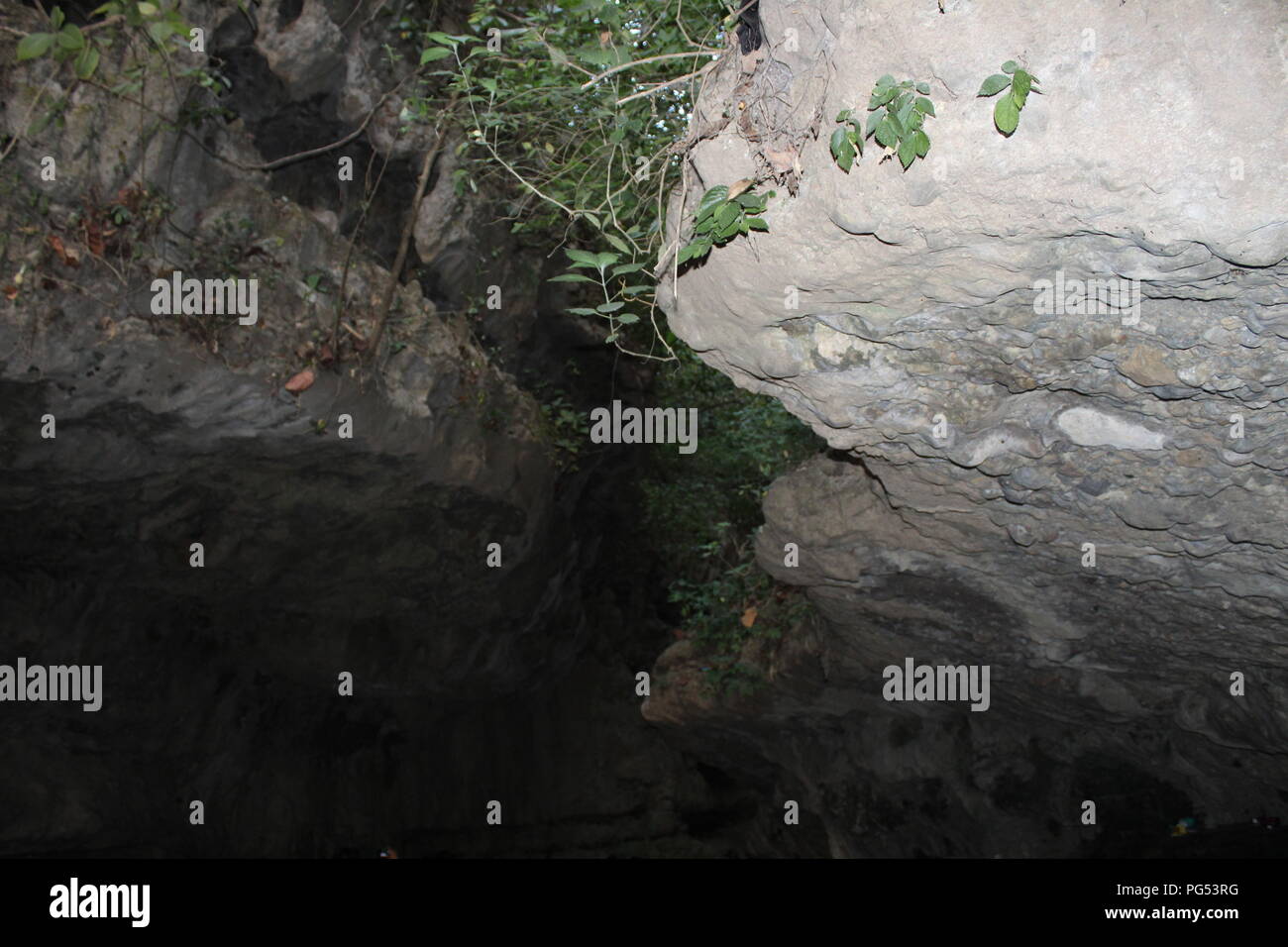 Robbers Cave Dehradun Uttarakhand India . also known as Guchu/Guchhu ...