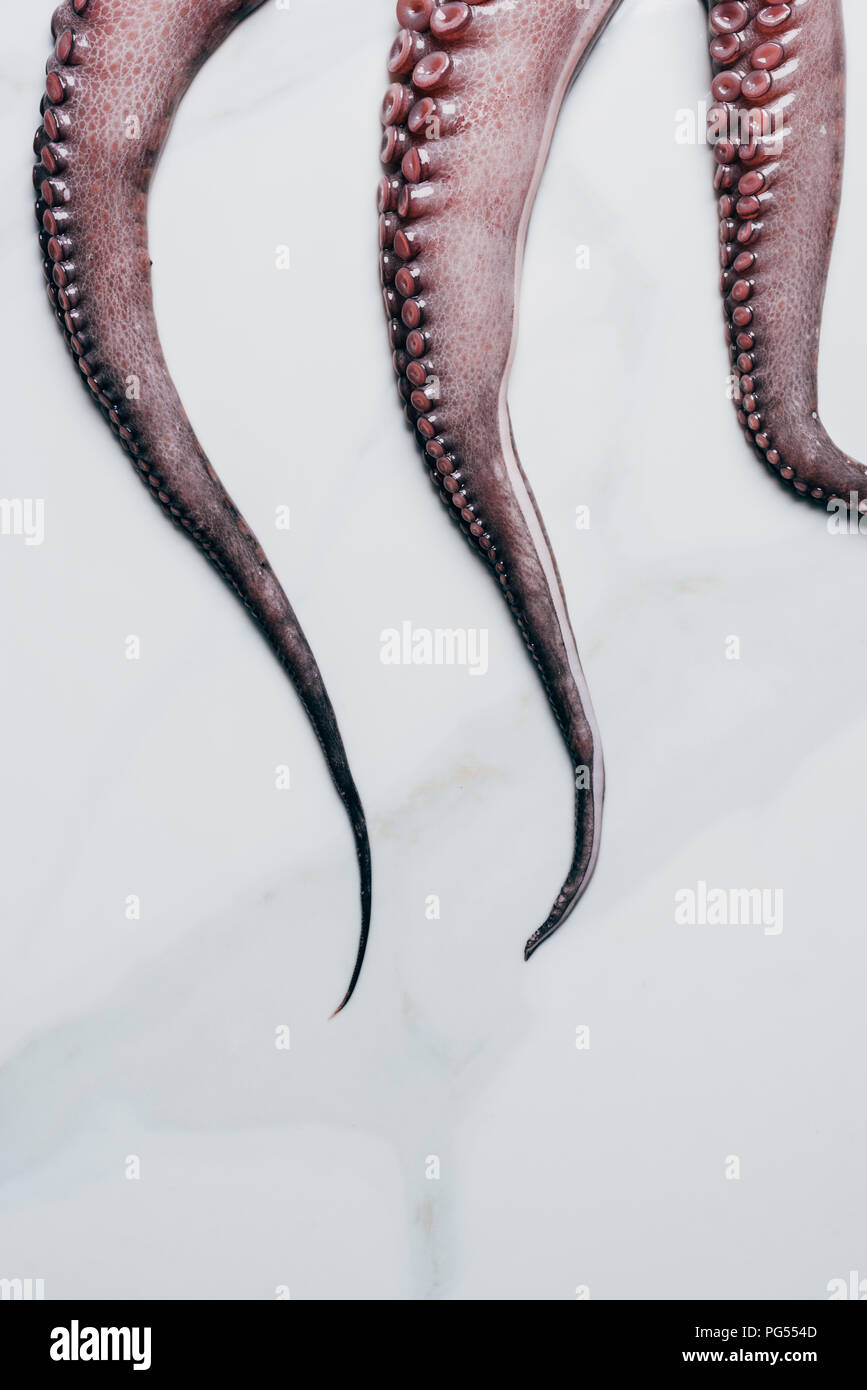 top view of octopus with tentacles on light marble surface Stock Photo ...