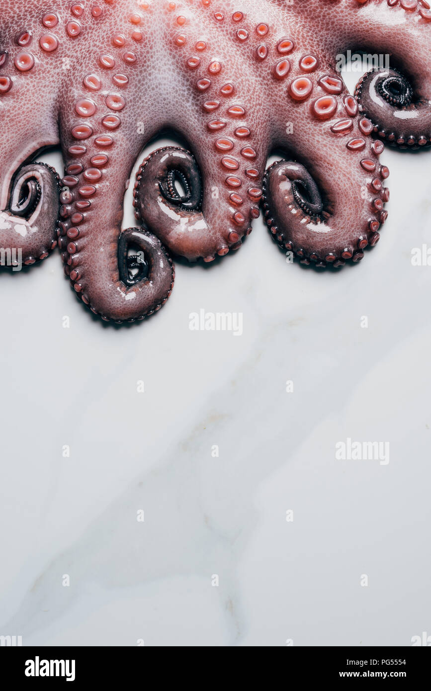 top view of tentacles of big fresh octopus on marble surface Stock ...