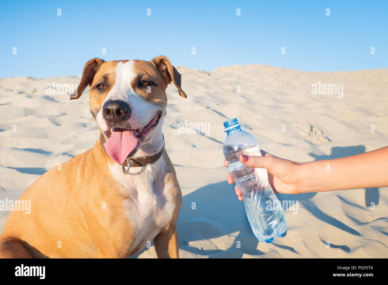 Giving water to the thirsty hi-res stock photography and images - Alamy