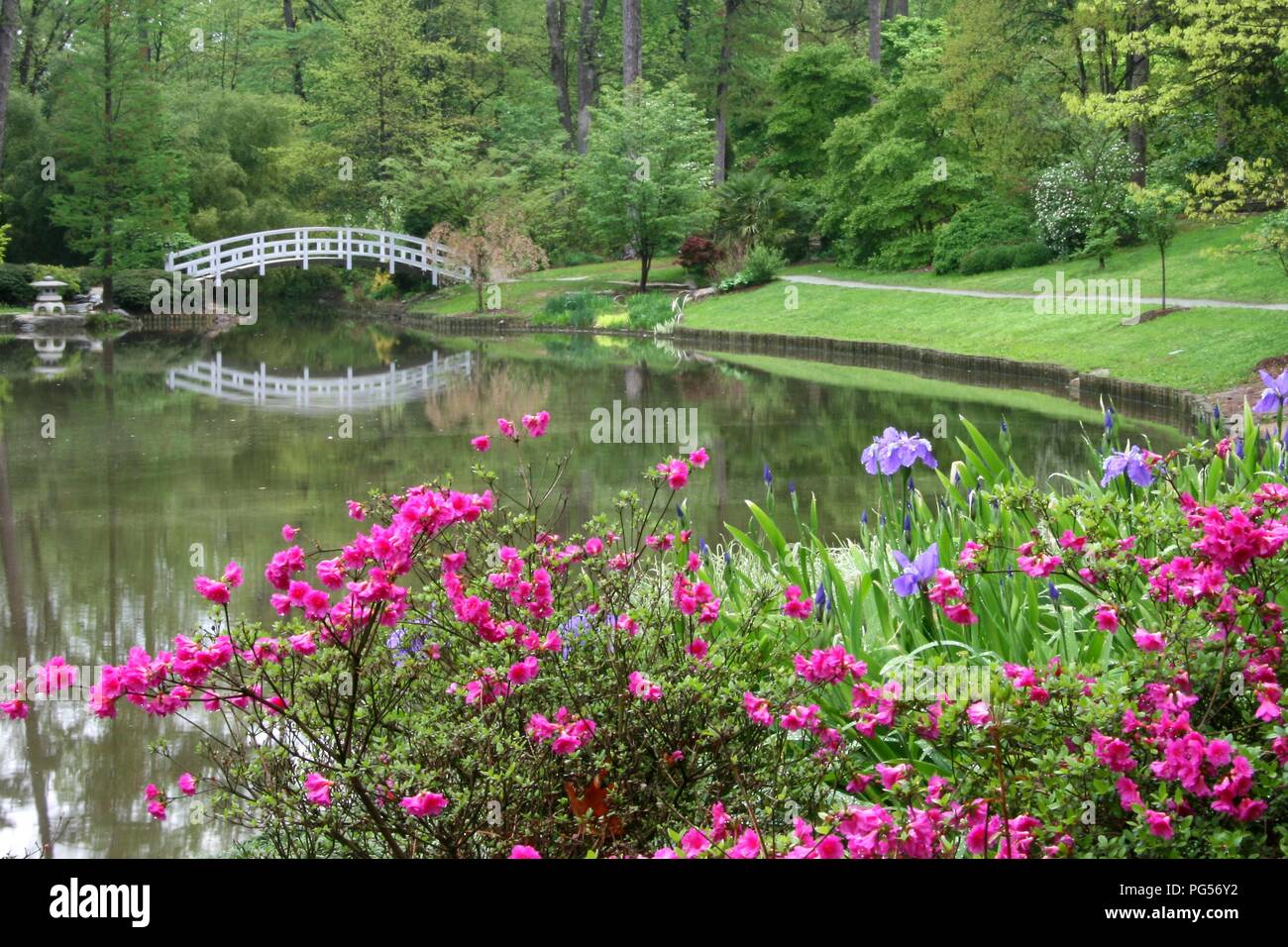 Duke park carolina hi-res stock photography and images - Alamy