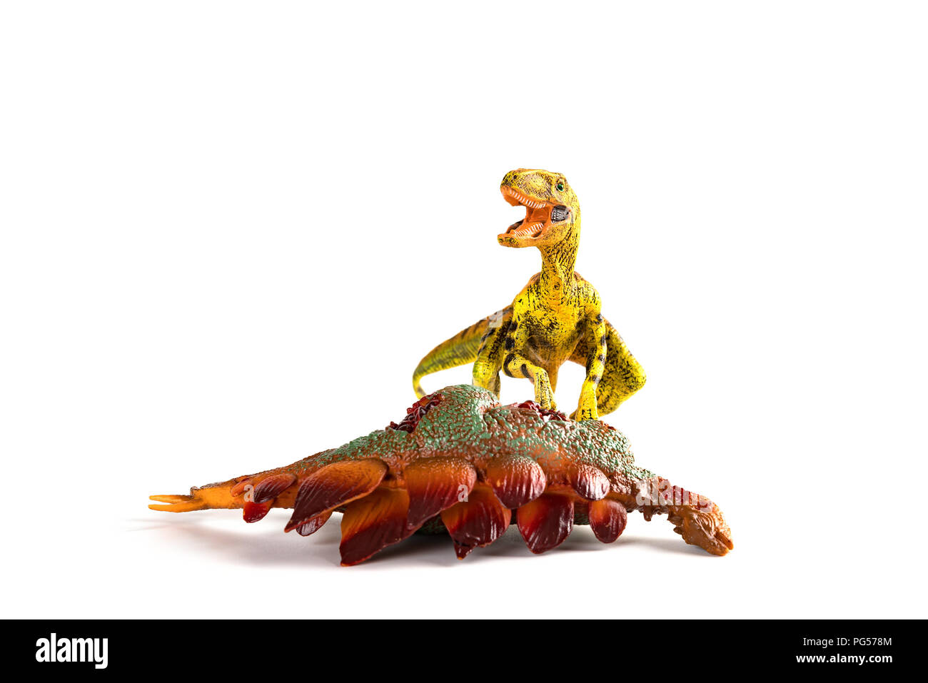 front view velociraptor with a stegosaurus body nearby on white ...