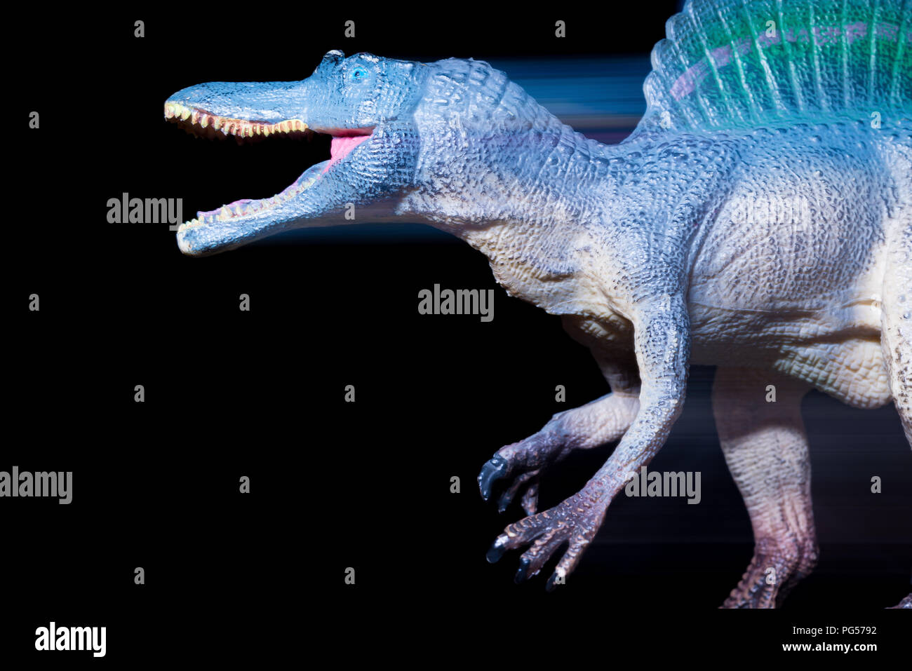 fast running spinosaurus with streaks on black background Stock Photo ...