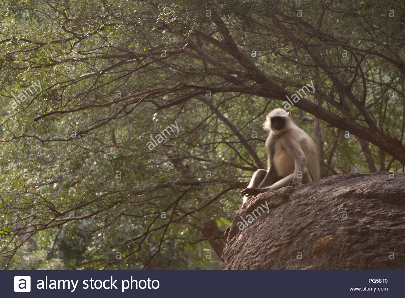 Rajasthan State Stock Photos & Rajasthan State Stock Images - Alamy