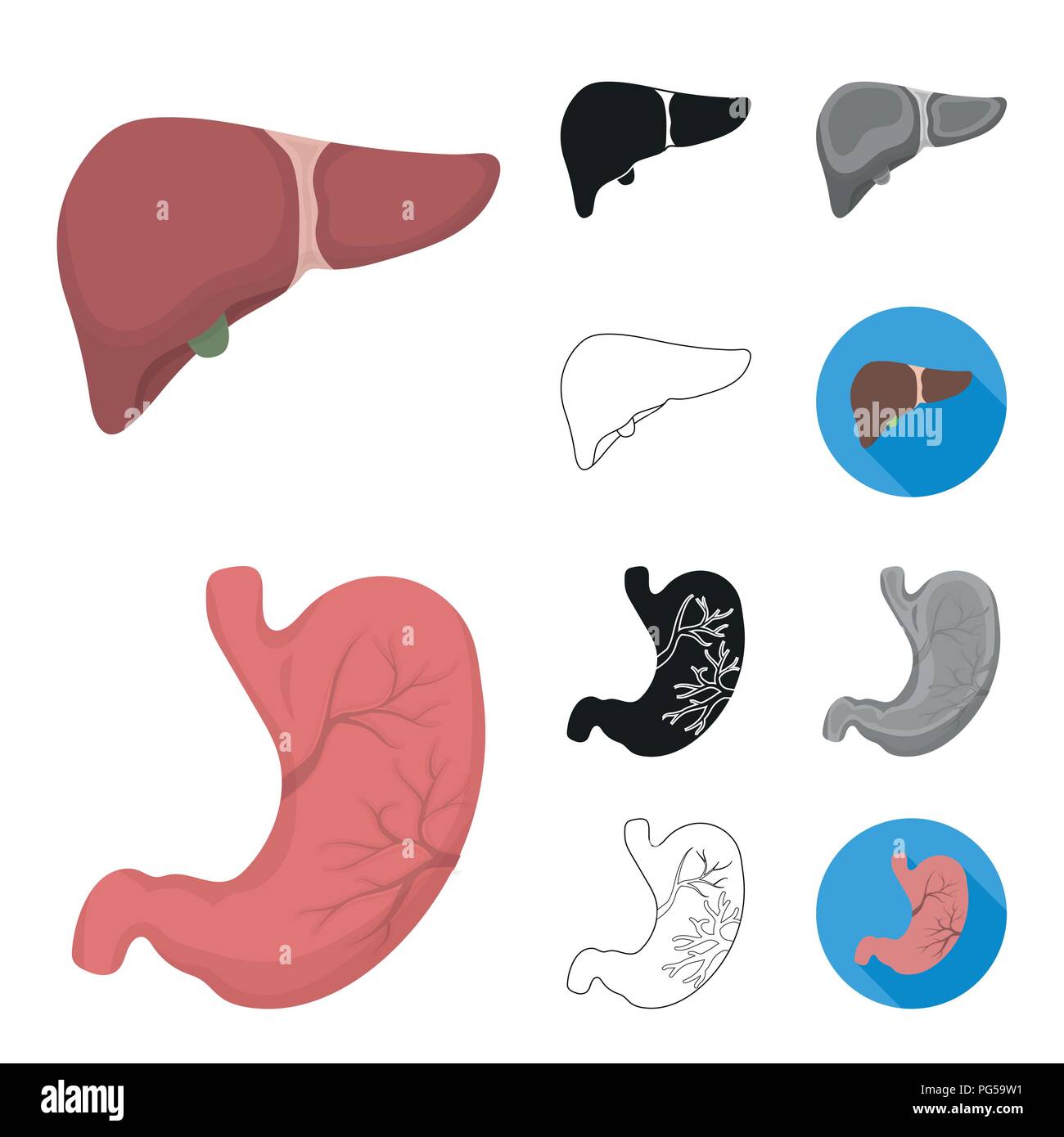 Internal organs of a human cartoon,black,flat,monochrome,outline icons ...