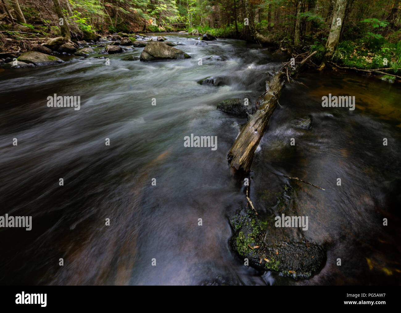 Woods and river hi-res stock photography and images - Alamy