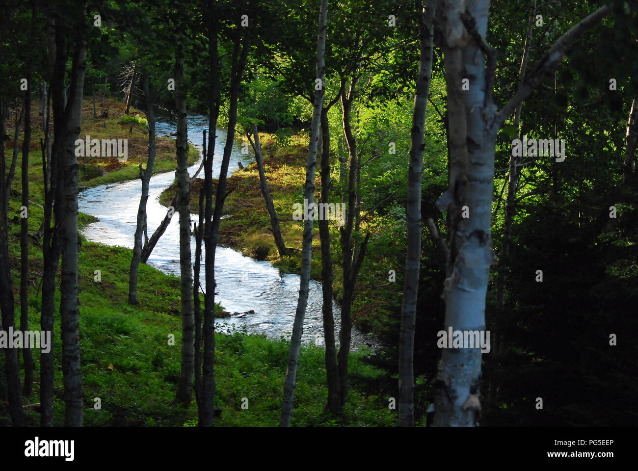 Uncontaminated environment hi-res stock photography and images - Alamy