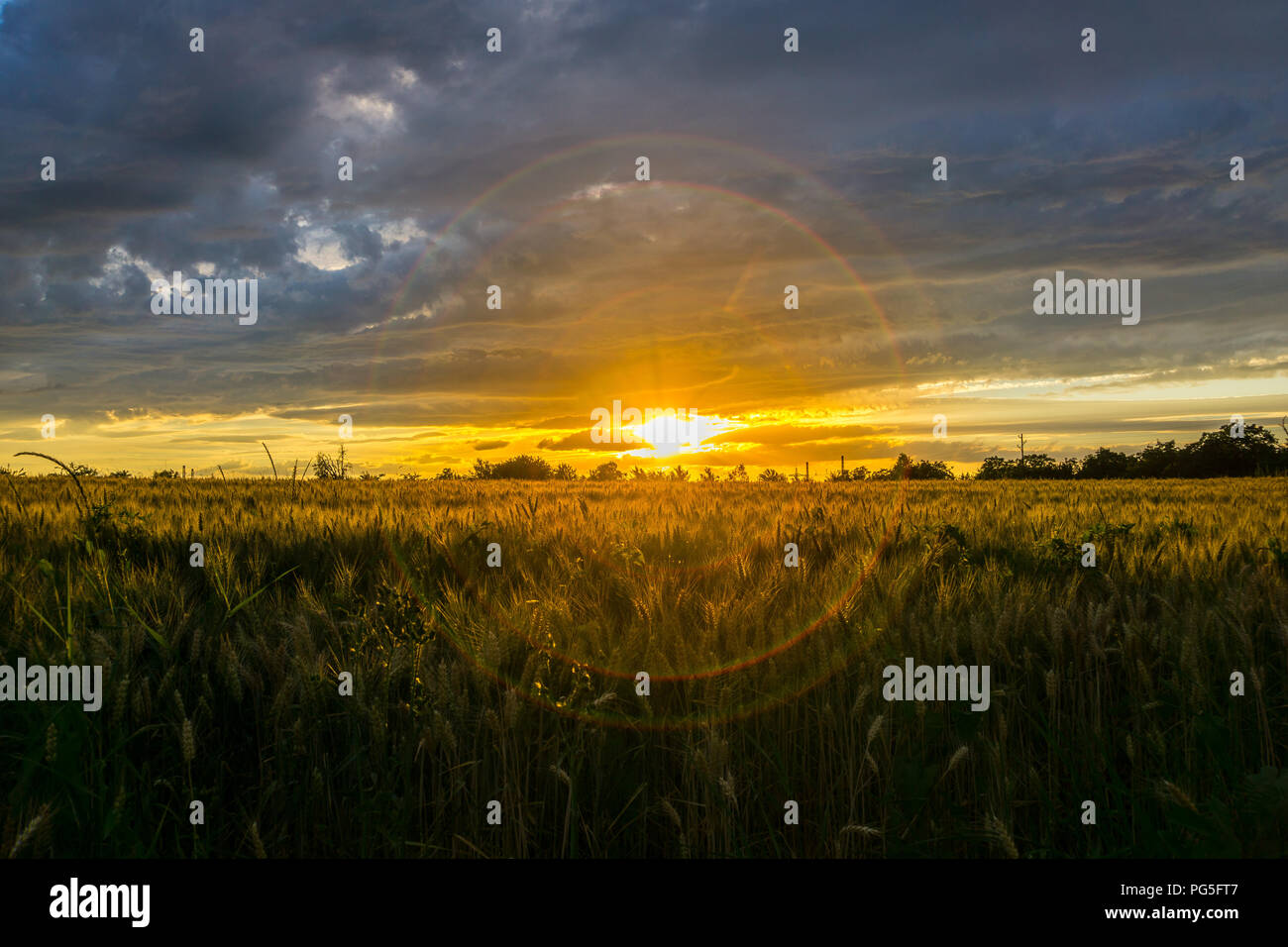 Beautiful summer sunset over field hi-res stock photography and images ...