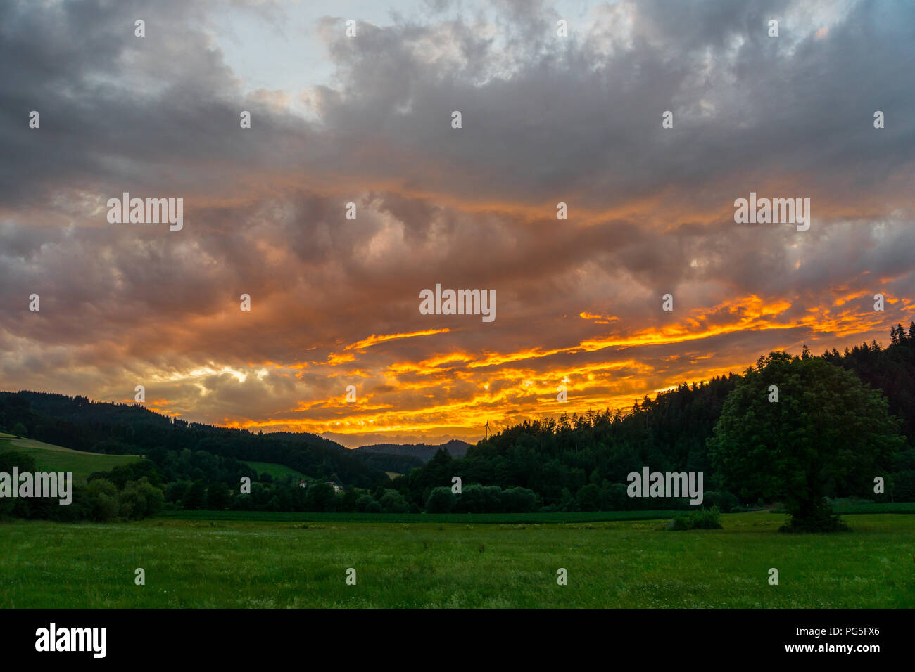 Fire red dawn sky forest hi-res stock photography and images - Alamy