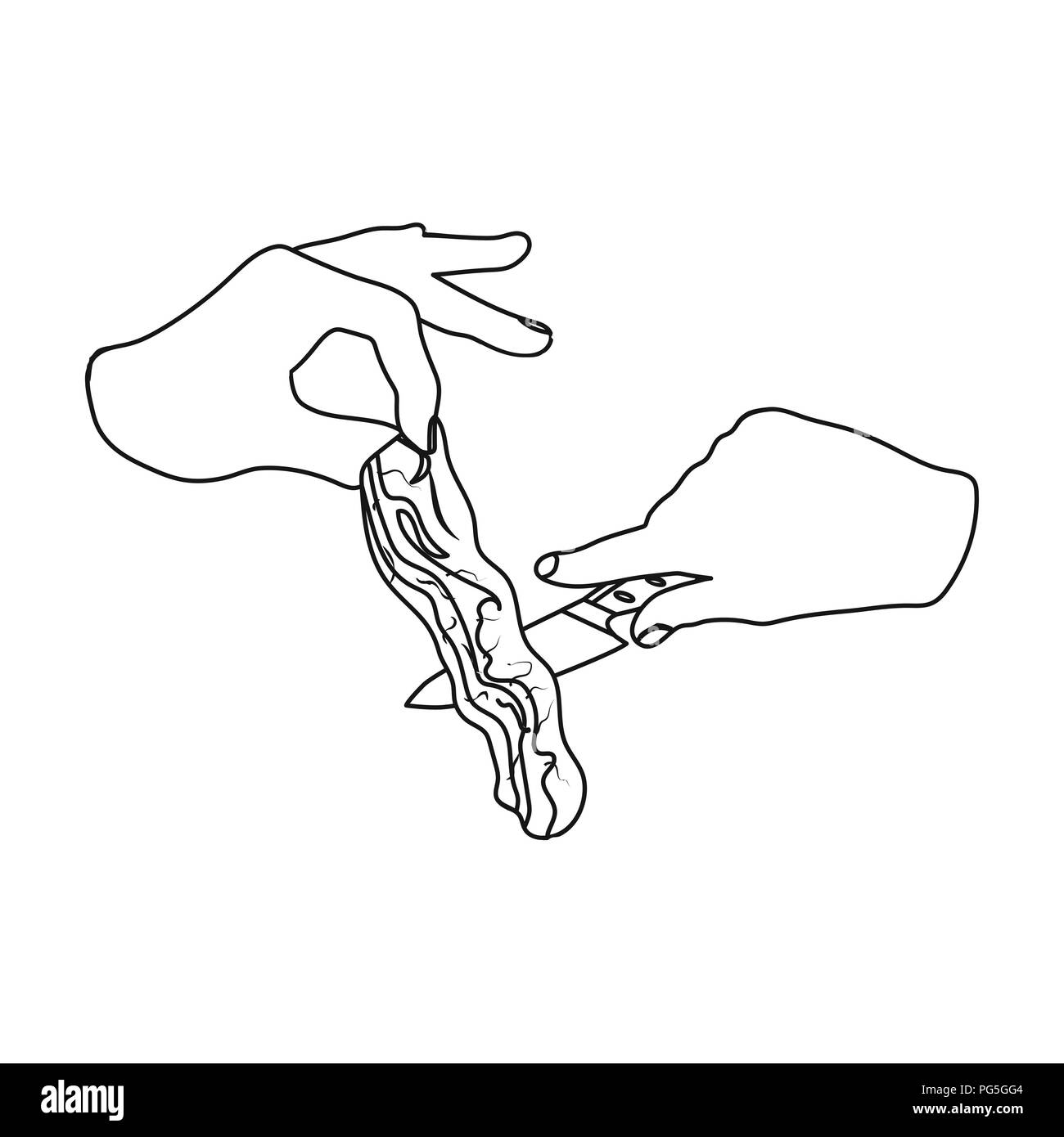 Cooking from bacon. Bacon and cooking single icon in outline style ...