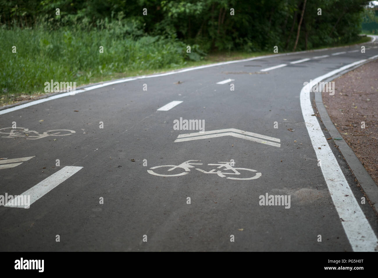 Photo of bicycle road among trees Stock Photo - Alamy