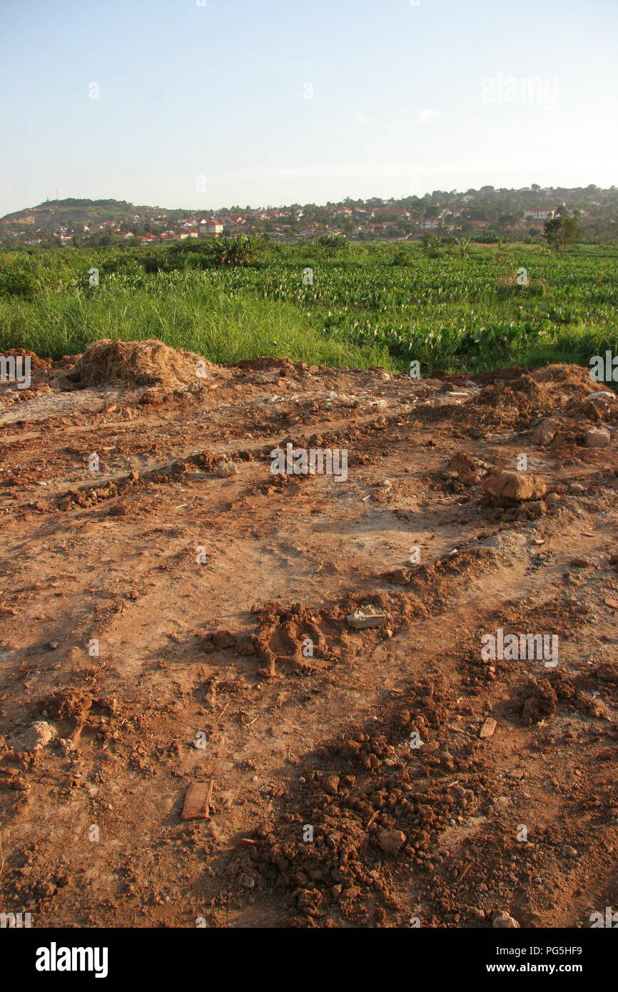 Developers encroach into the wetland area encompassing Nakivubo Channel ...
