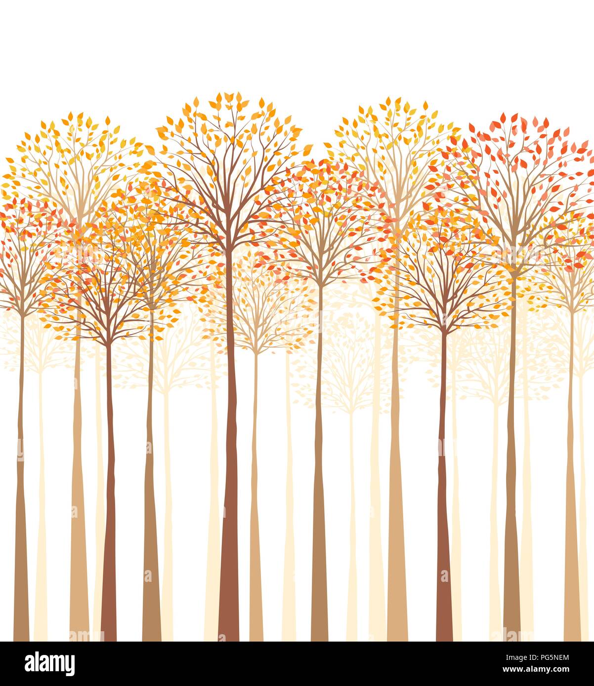 Vector autumn tree on a white background Stock Vector Image & Art - Alamy