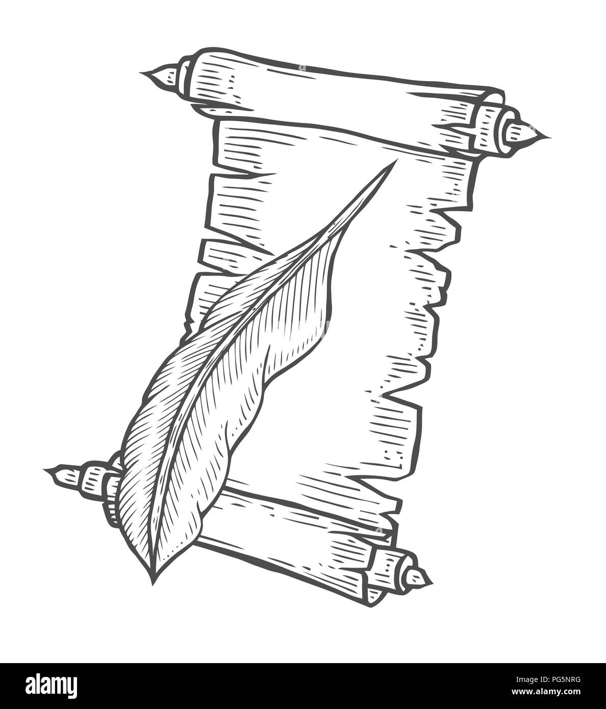 Vector hand drawn illustration of old scrolls in vintage engraved style ...