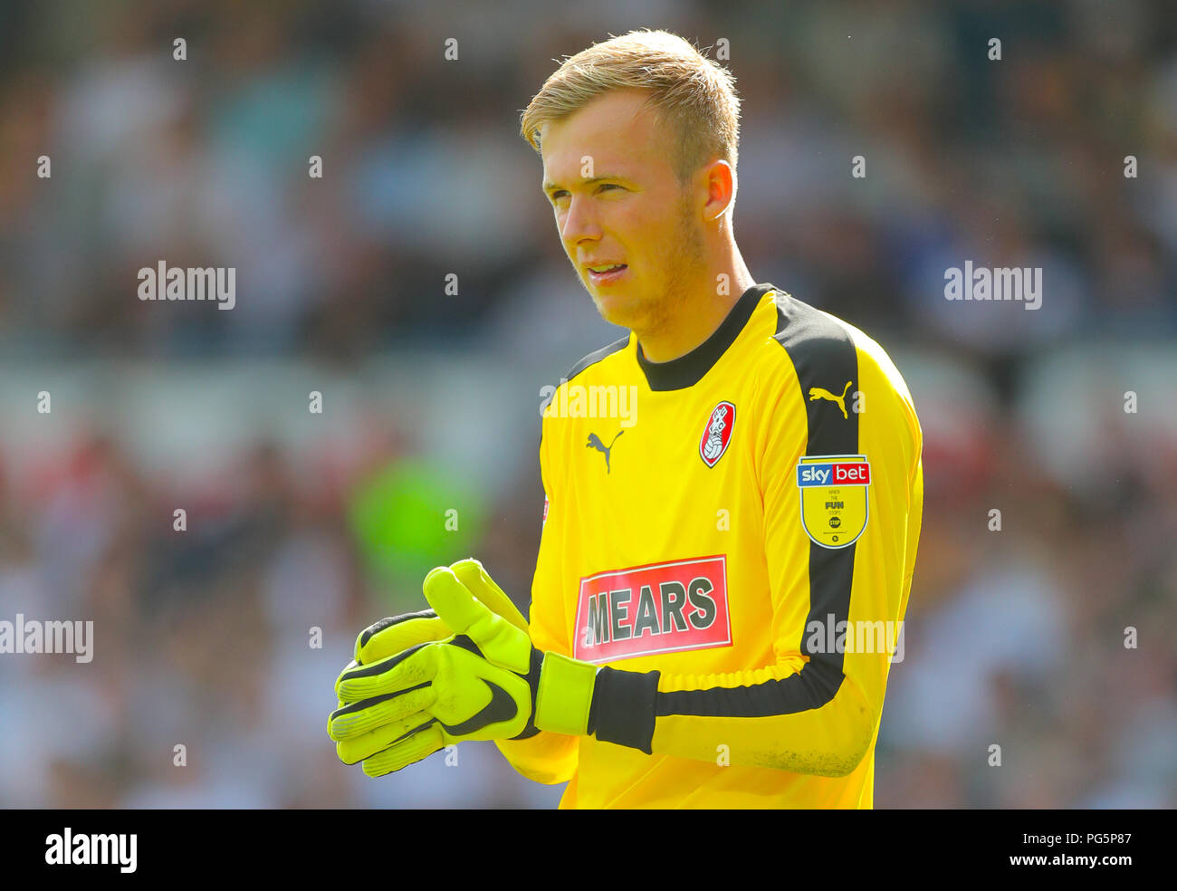 Rotherham United goalkeeper Marek Rodak Stock Photo - Alamy
