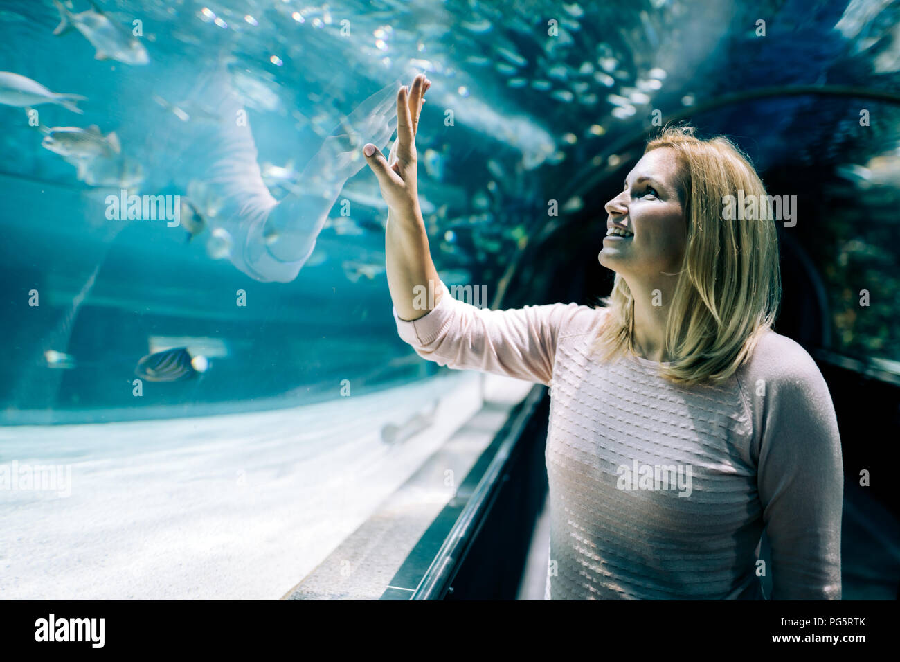Ocean life aquarium hi-res stock photography and images - Alamy