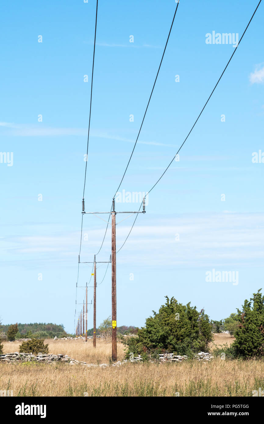 Power lines in a plain grassland with junipers Stock Photo - Alamy