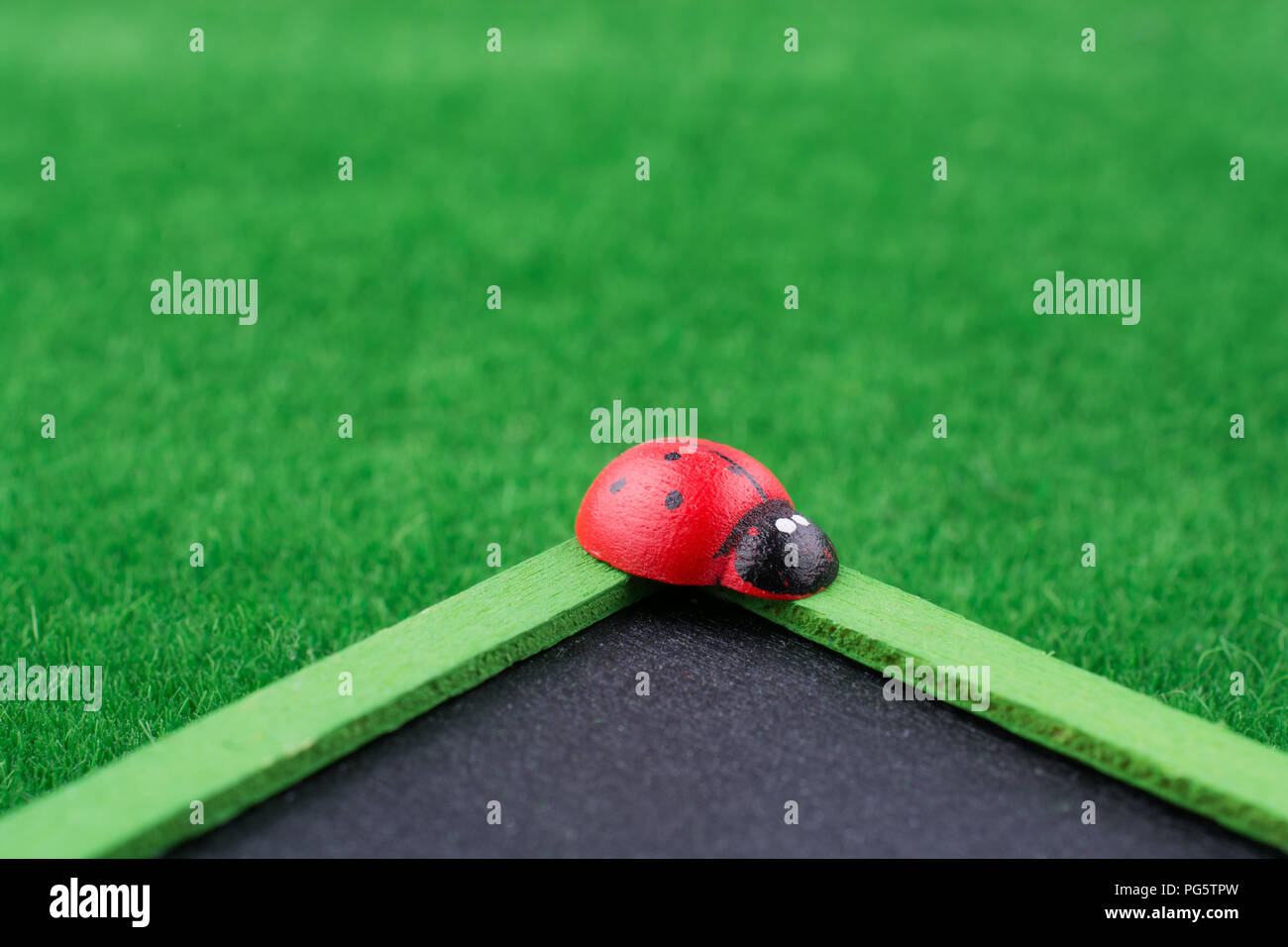 Small board with a ladybug on it on green grass Stock Photo - Alamy