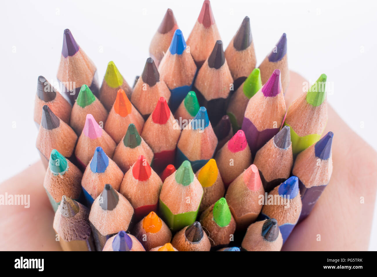 Hand holding Color pencils on a white background Stock Photo - Alamy