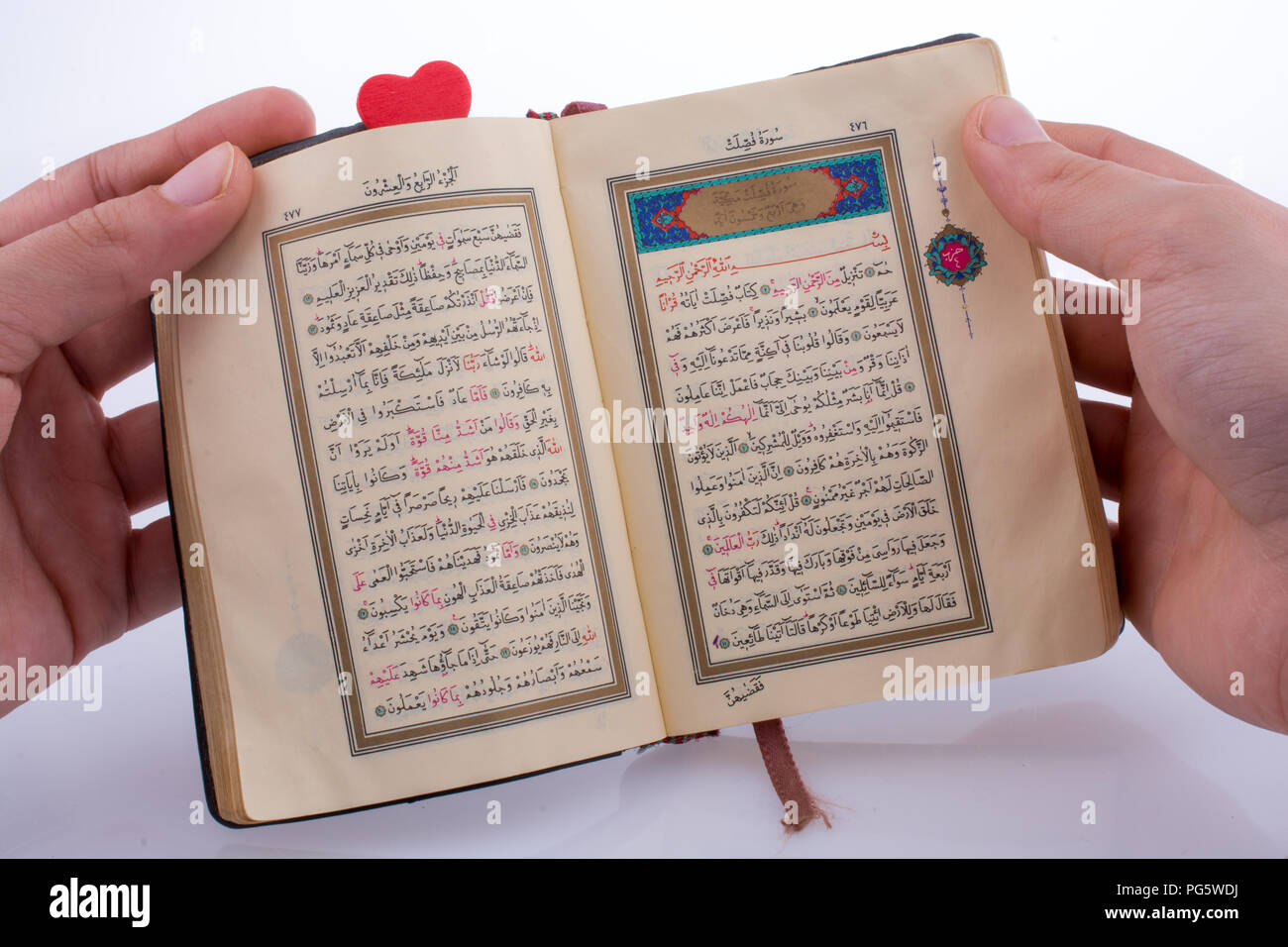 Hand holding The Holy Quran with a heart on a white background Stock ...