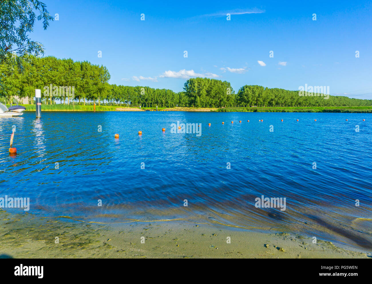 Shore line beach forest hi-res stock photography and images - Alamy