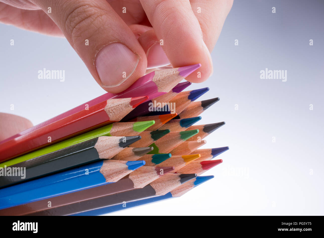 Hand holding color pencils on a white background Stock Photo - Alamy