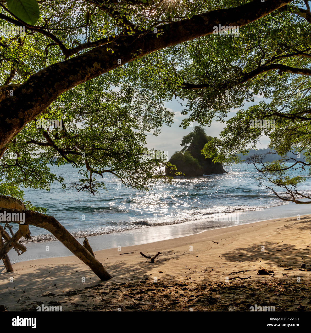 Beach, Corcovado National Park, Osa Peninsula, Costa Rica Stock Photo - Alamy