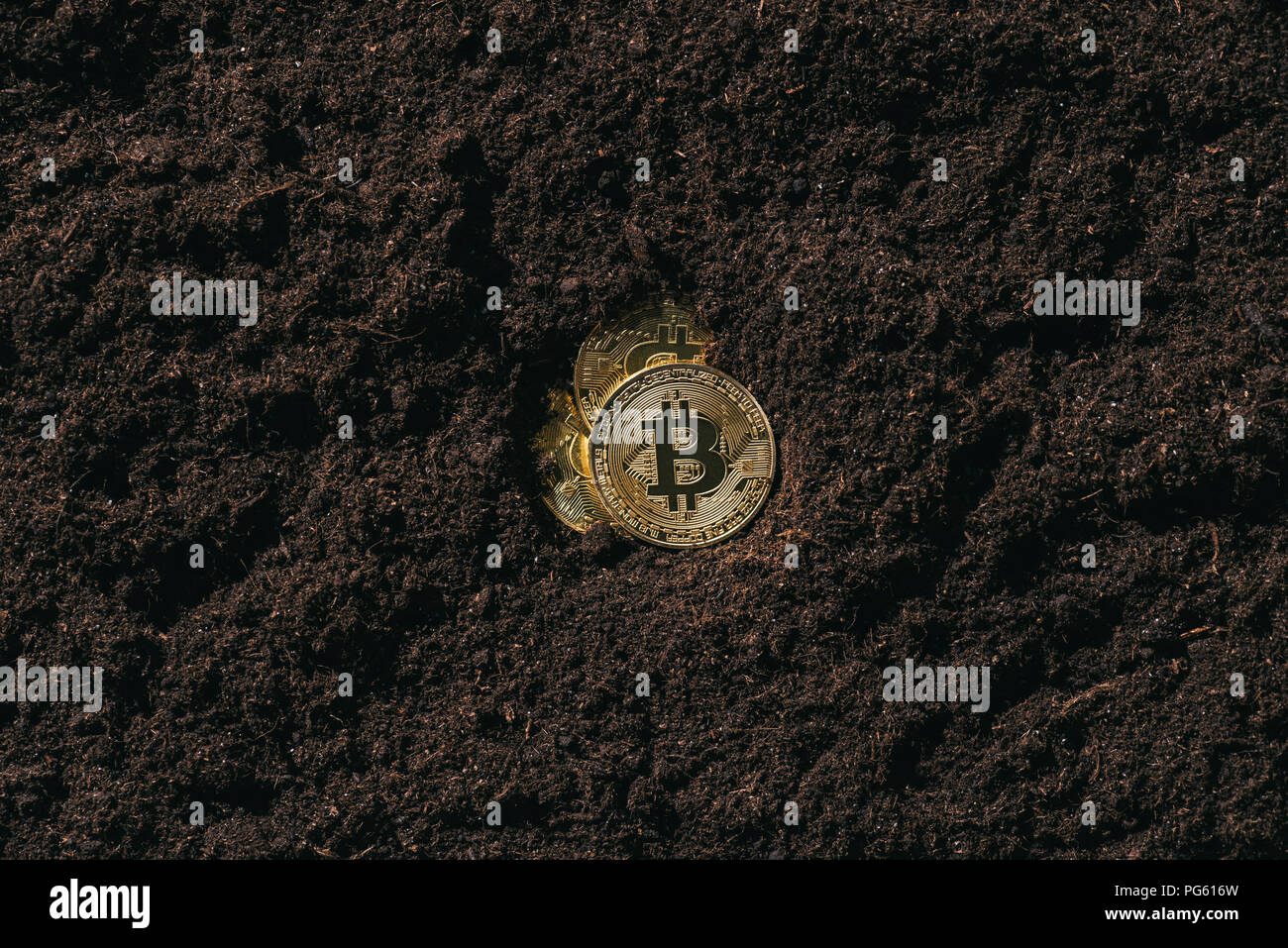 Golden coins in soil hi-res stock photography and images - Alamy