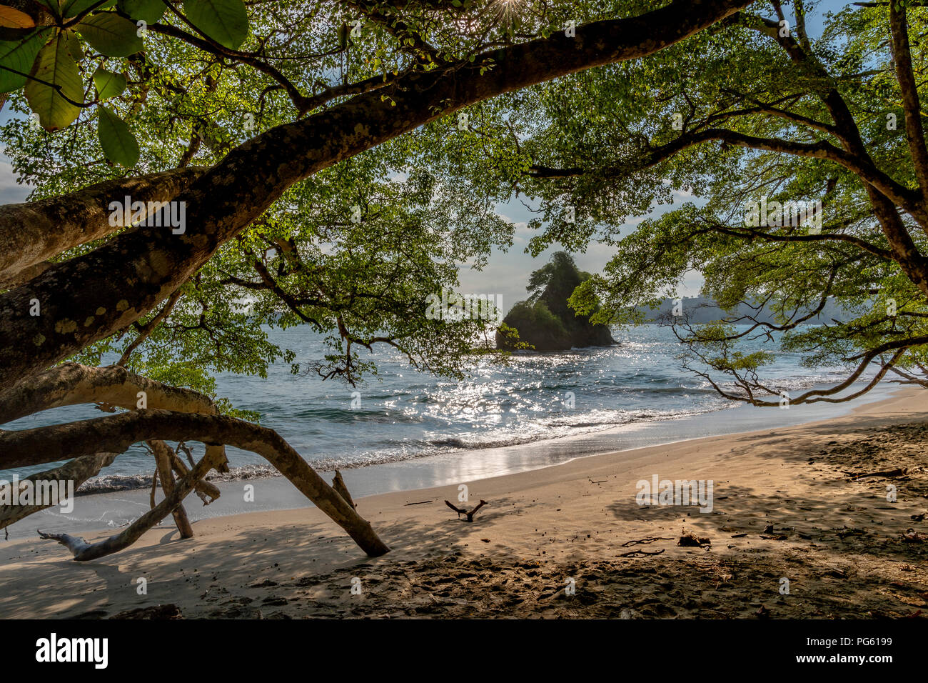 Beach, Corcovado National Park, Osa Peninsula, Costa Rica Stock Photo - Alamy