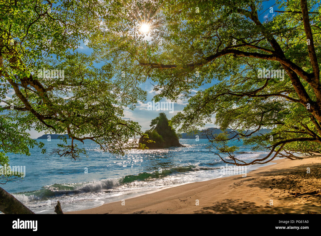 Beach, Corcovado National Park, Osa Peninsula, Costa Rica Stock Photo - Alamy