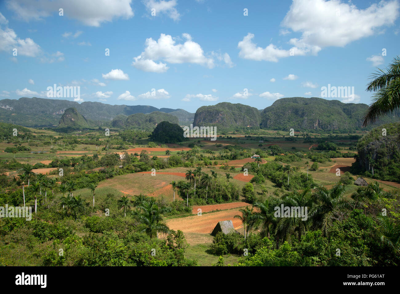 Lush green limestone Mogotes dominate the tobacco growing landscape in ...